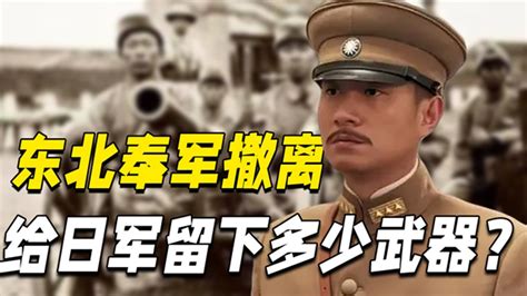 张学良到底留了多少武器给日本人？东北奉军当年真的富可敌国吗 Youtube