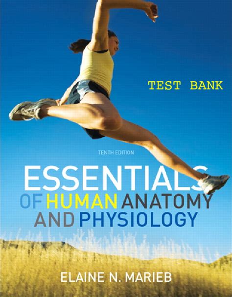 Test Bank For Essentials Of Human Anatomy And Physiology 10th Edition