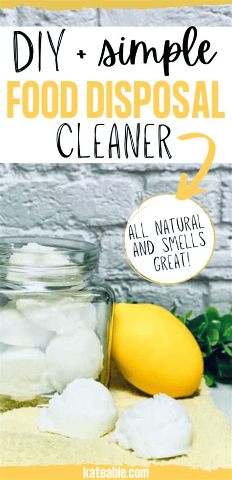 4 Ingredient Diy Garbage Disposal Cleaner