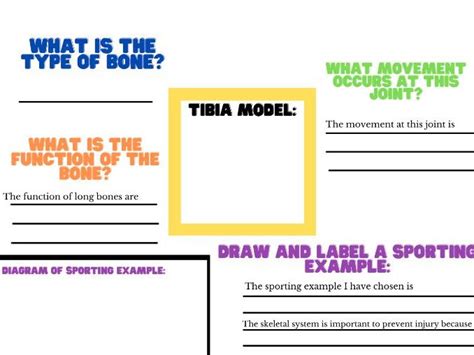 Application Lesson Worksheet Bones Teaching Resources