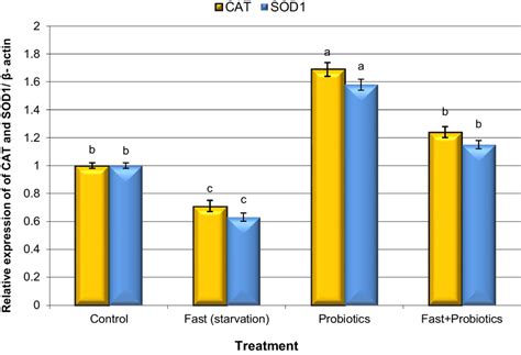 Alteration Of The Expression Of Catalase Cat And Superoxide Dismutase