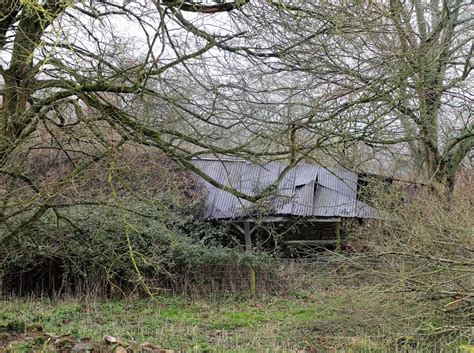 Dead Womans Thorn Local Drove Roads