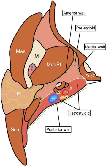 Beyond The Throat Imaging Of Parapharyngeal Space Lesions Clinical