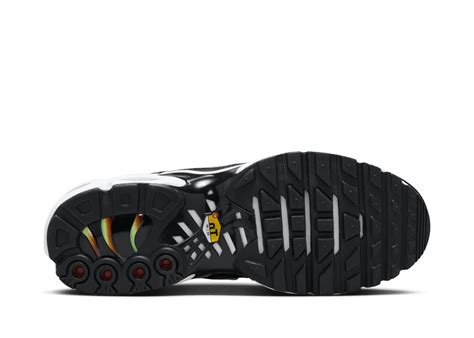 Nike Air Max Plus Rainbow W DZ Raffles And Release Date