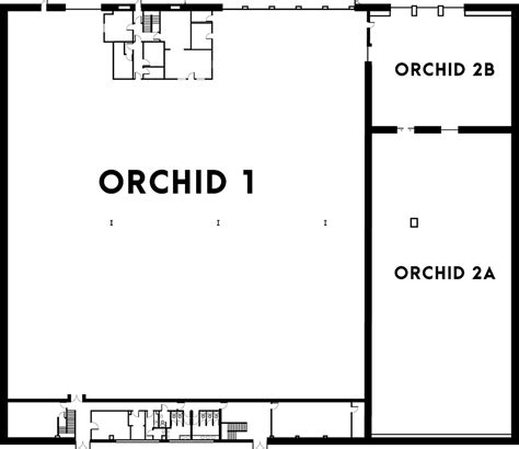 ORCHID