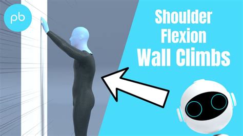 Shoulder Flexion Wall Climbs Physiobot