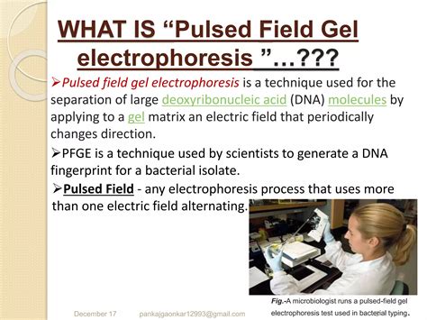 Pulse Field Gel Electrophoresis Ppt
