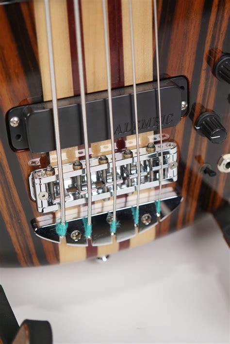 Alembic Essence Five String Bass — Northern Lights Music