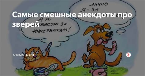 Самые смешные анекдоты про зверей анекдоты Live Дзен