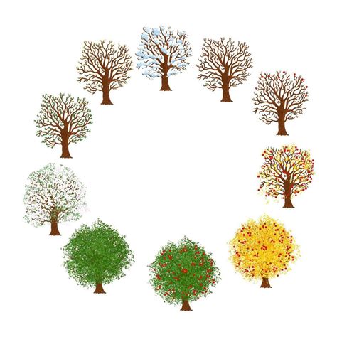 Colorful Textured Illustration Of Seasonal Tree Representing Yearly