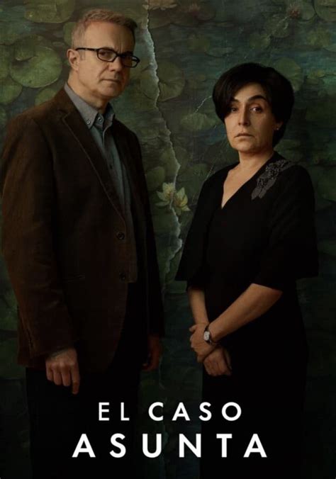 El Caso Asunta Ver La Serie De Tv Online