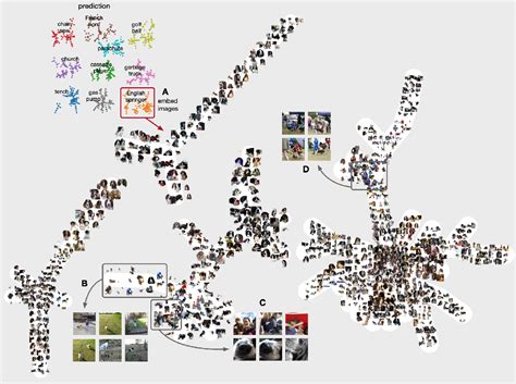 Figure 1 From Topological Structure Of Complex Predictions Semantic