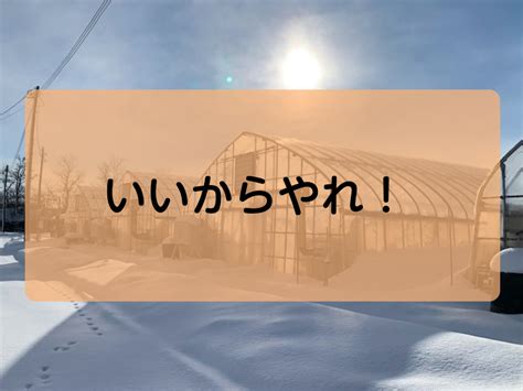 いいからやれ！ 苺の花ことばブログ