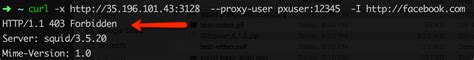 How To Setup And Configures Proxy Server Squid Proxy