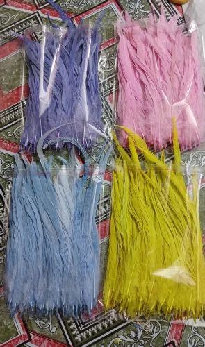 6 10 Inch Big Feather At ₹ 200 Pack In New Delhi Id 2852668538533