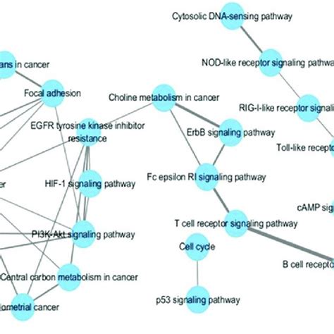 Pathway Crosstalk Among Npcgset Enriched Pathways Nodes Represent