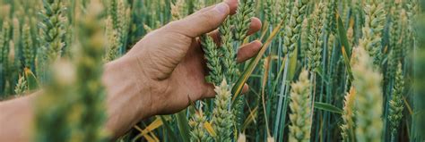 Totaltarget Envirologix