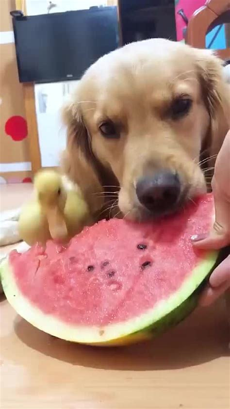 Share Size Album On Imgur