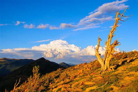 Top Photography Mistakes To Avoid