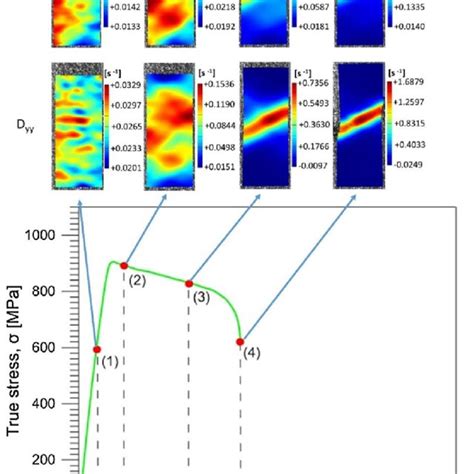 Distributions Of The Hencky Strain ε Yy And Rate Of Deformation Tensor