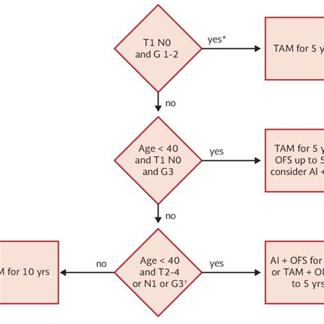 Suggested Algorithm For Adjuvant Endocrine Treatment Of Premenopausal Download Scientific