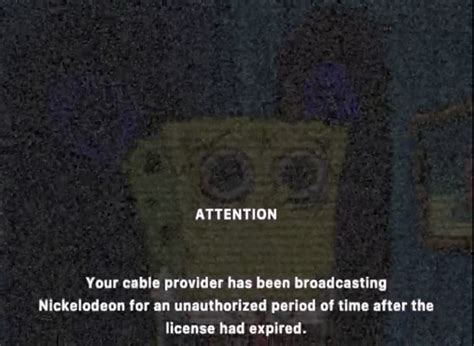 Nickelodeon Anti Piracy Screen Ultra Rare Anti Piracy Screen Wiki