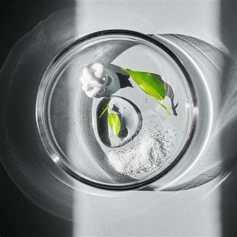 Sisel Clean Label Health Wellness And Opportunity Science Driven