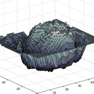Surface Representation Of A Section Of An Image Download Scientific Diagram