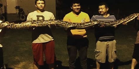 Teen Finds 14 Foot Python In Oklahoma Backyard
