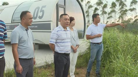 【乡村振兴】市人大常委会到阳东开展乡村产业振兴专题调研 阳江市阳东区人民政府门户网站