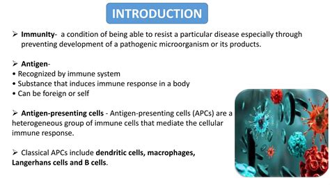 Immunological Tolerance And Resistance Pdf