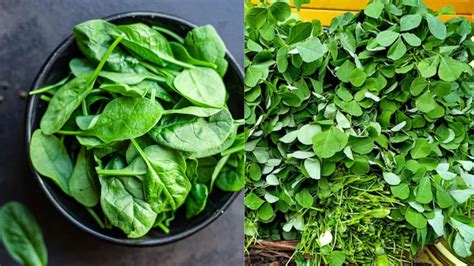 Health Tips सर्दियों के मौसम में खाएं ये 5 साग स्वाद के साथ मिलेगी सेहत Health Benefits Of