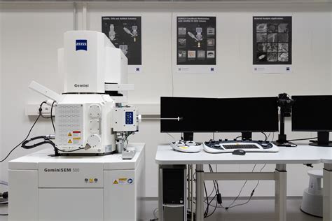 High Resolution Scanning Electron Microscopy Fe Sem With Electron