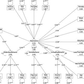 Standardized And Unstandardized Coefficients For Final Structural