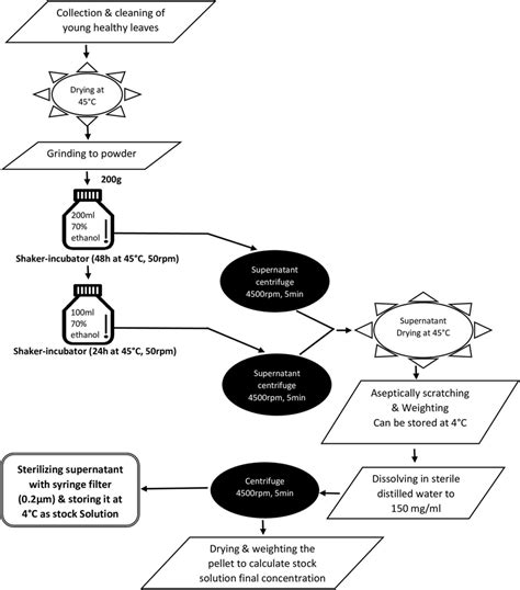 Flow Diagram Of Pj Ws Le Extract Preparation Download Scientific Diagram
