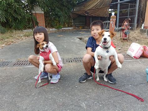1128 【love ‧ 流浪動物 ‧ 讓牠有個家】 中正大學寶貝生命社‧流浪動物認養專頁