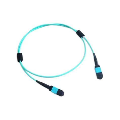 Cisco Fiber Optic Network Cable Welcome To The Ronnie Ridge