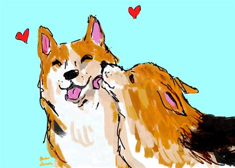 Corgo Kisses Album On Imgur