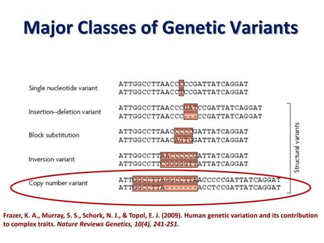 Ppt Genetic Analysis Workshop Overview Powerpoint Presentation Free