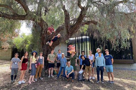 Trees Of Stanford And Environs