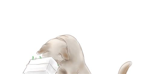 猫 猫草が噛み切れない 焦げ豆のイラスト Pixiv