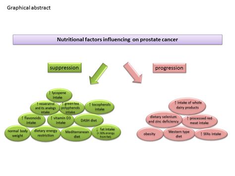 Dietary Factors In Cancer Incidence At Savannah Buckmaster Blog