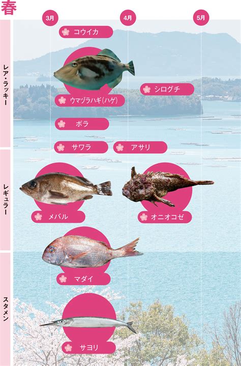 四季折々ひろしまの旬の推し魚｜瀬戸内さかな 〜ひろしまならではのひととき〜