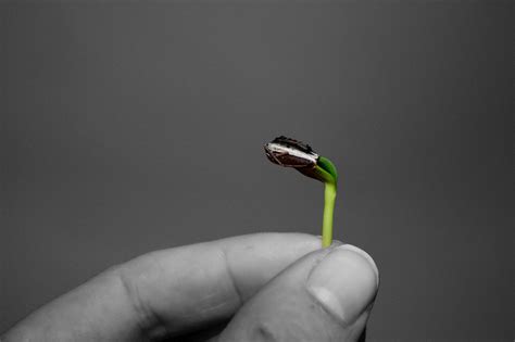 식물 기반 바이오 플라스틱 개발