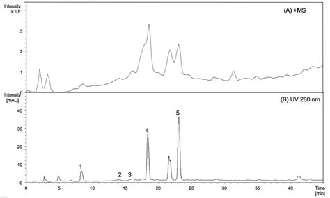 Ms Spectrograms A Positive Mode And Hplc Chromatograms B 280 Nm