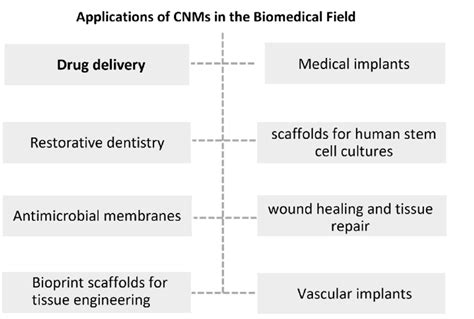 Potential Applications Of Cellulose Nanomaterials In Biomedicine Download Scientific Diagram