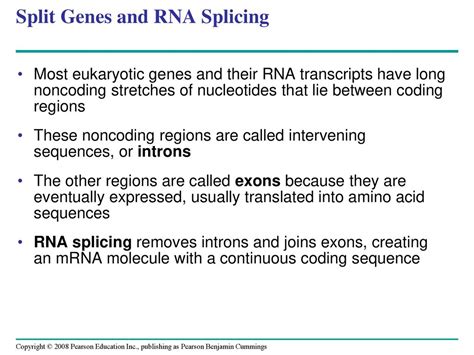Chapter 17 From Gene To Protein Ppt Download