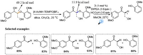 Strategies For Small Molecule Activation Customwritings