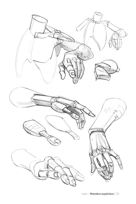 Morpho Formes Synthetiques In 2024 Human Anatomy Art Human Anatomy