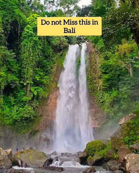 Gitgit Waterfallmust Visit Placedo Not Miss Thisbalishortsyoutube Viralvideo